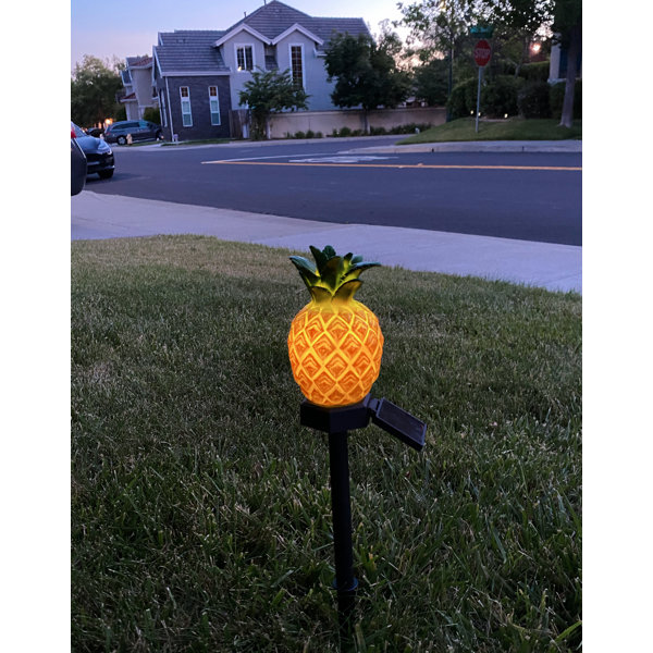Pineapple-garden | Wayfair